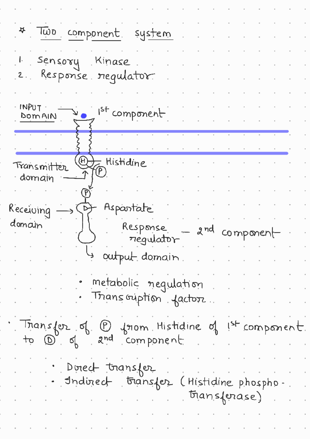 Regulation of OMPF in Osmotic Stress: Notes 230223 181444 - Studocu