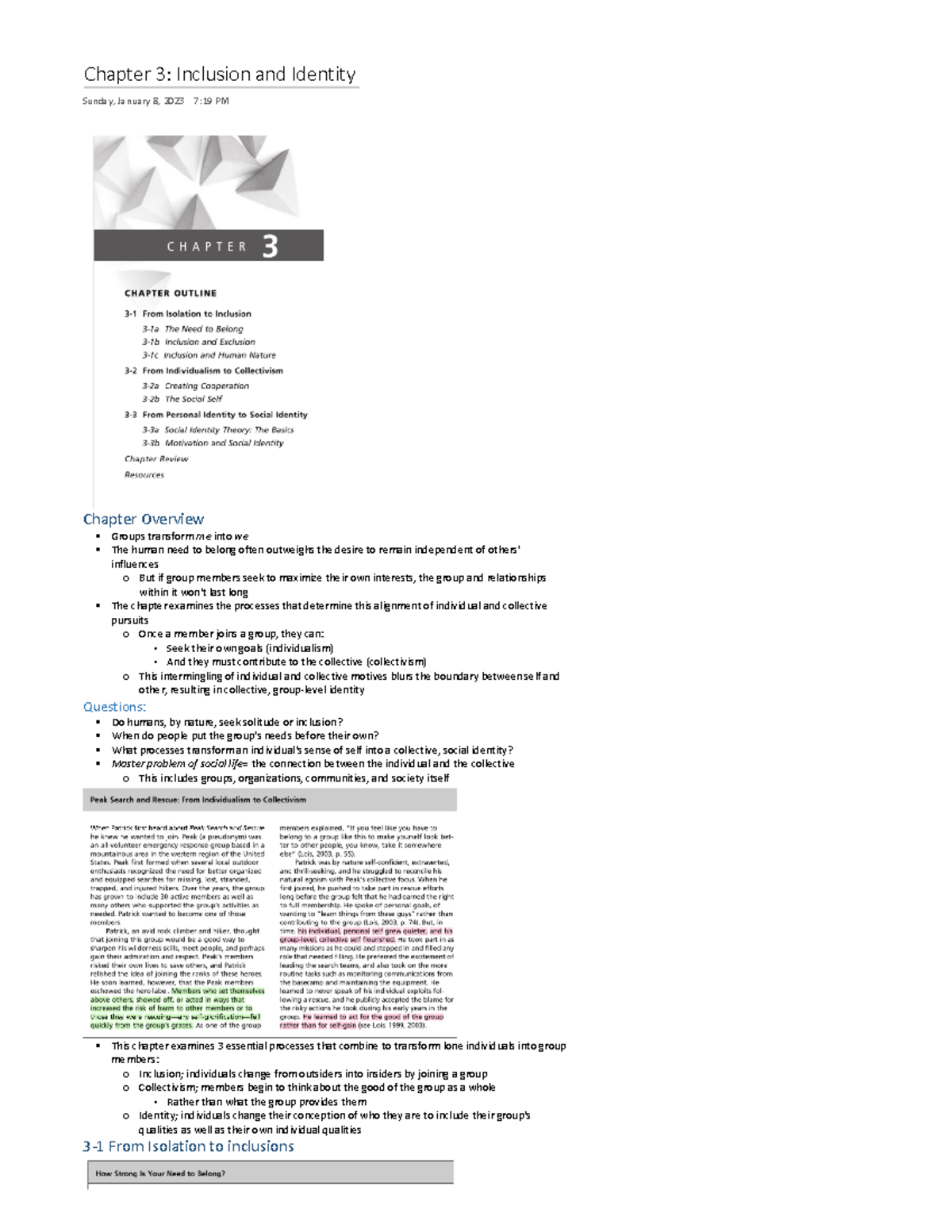 Group Dynamics and Process: Chapter 3 - Inclusion and Identity Insights ...