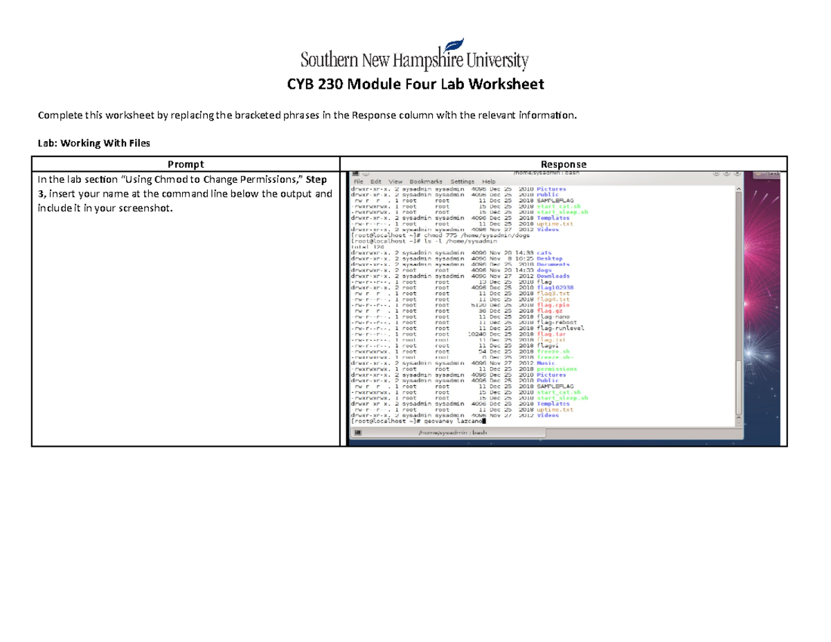 CYB 230 Module Four Lab Worksheet - CYB 230 Module Four Lab Worksheet ...