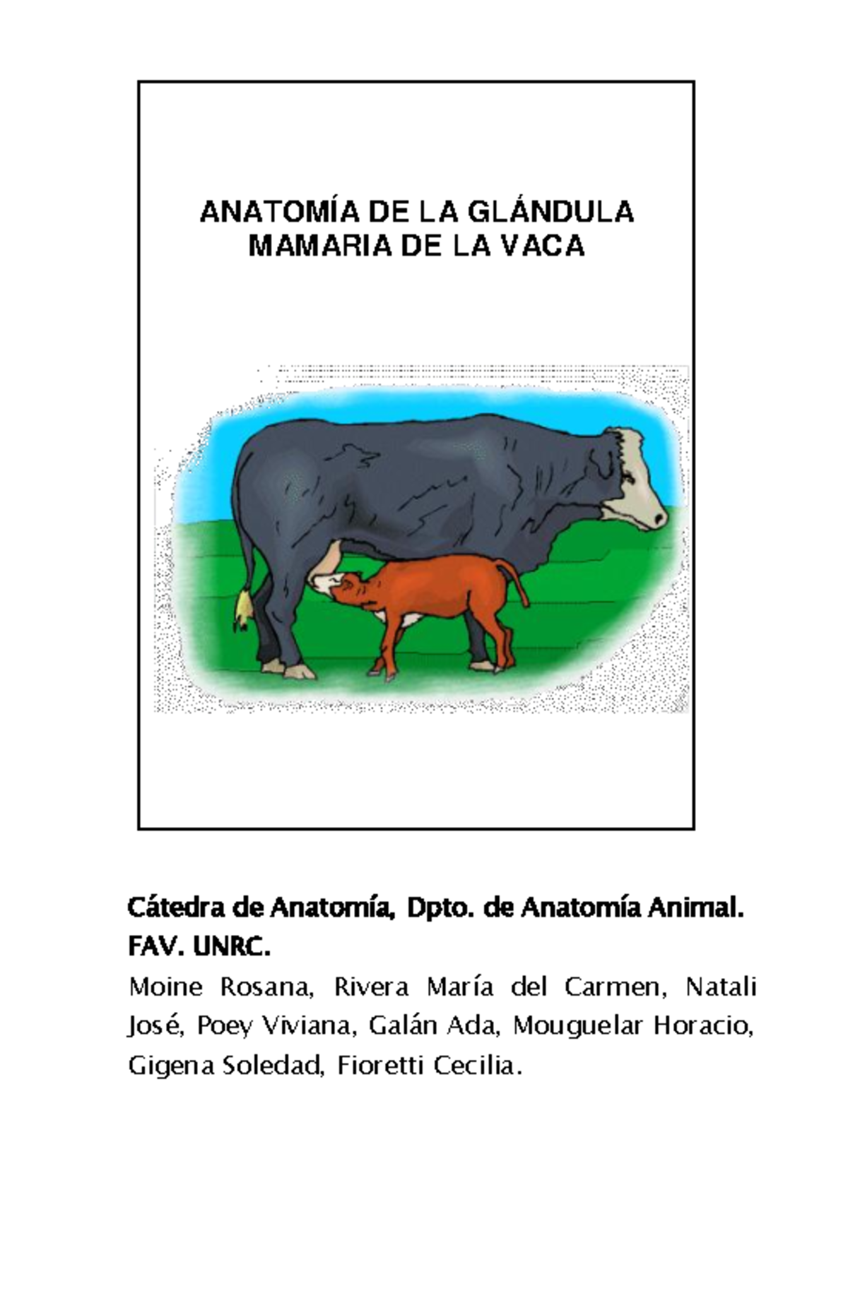 Anatomía de la Glandula Mamaria de la Vaca - Cátedra de Anatomía - Studocu