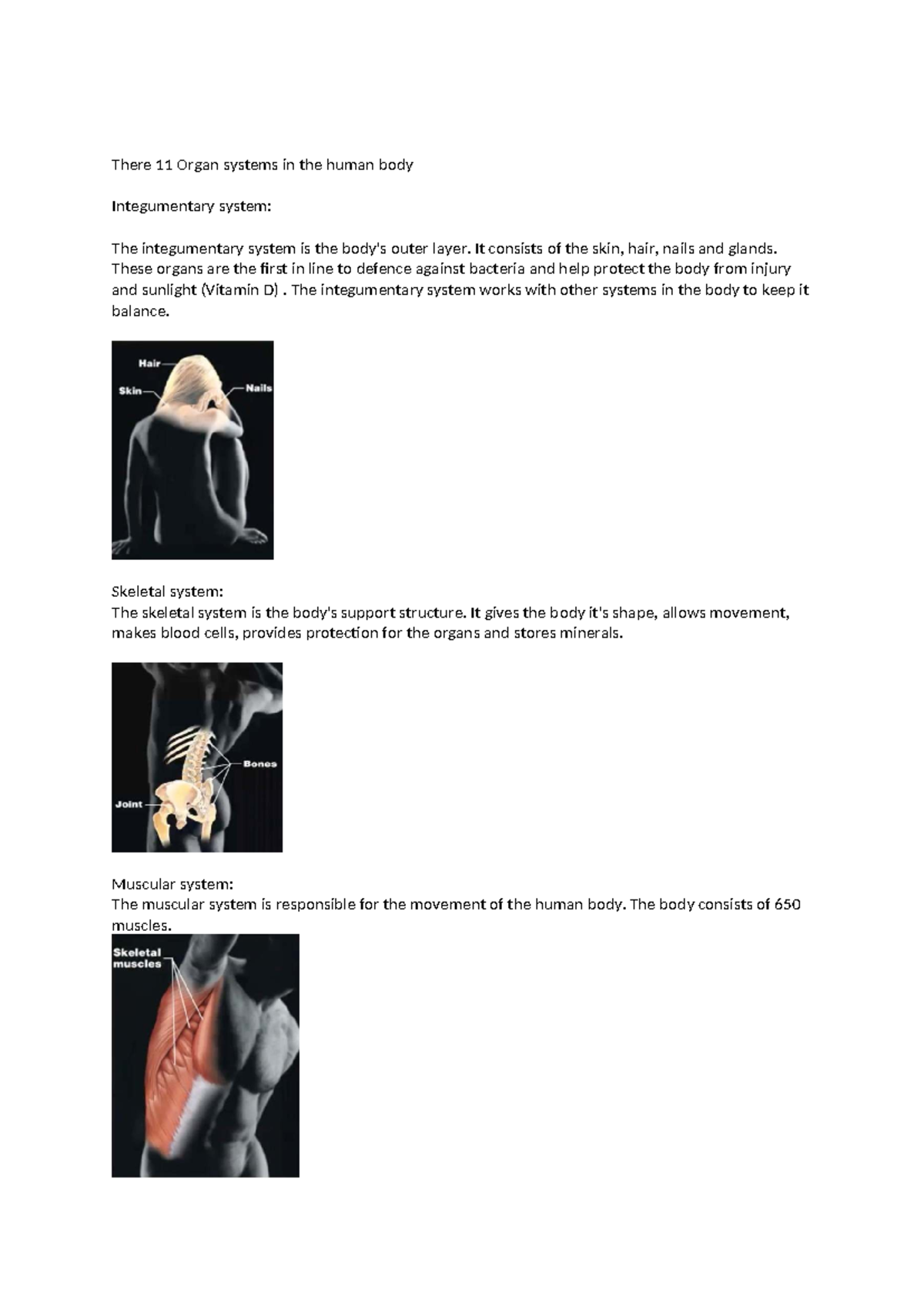 Organ Systems in the Human Body: Overview and Functions - Studocu