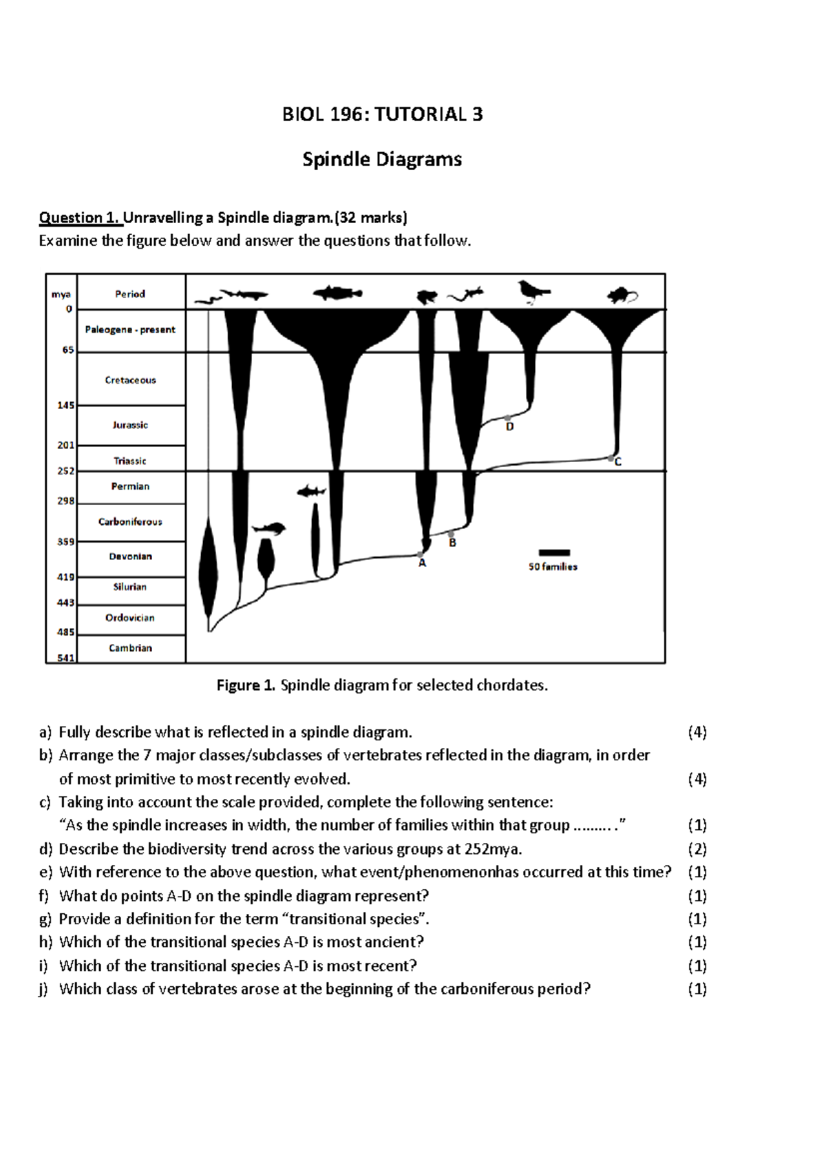 2024 BIOL 196 Tutorial 5 - Understanding Spindle Diagrams - Studocu
