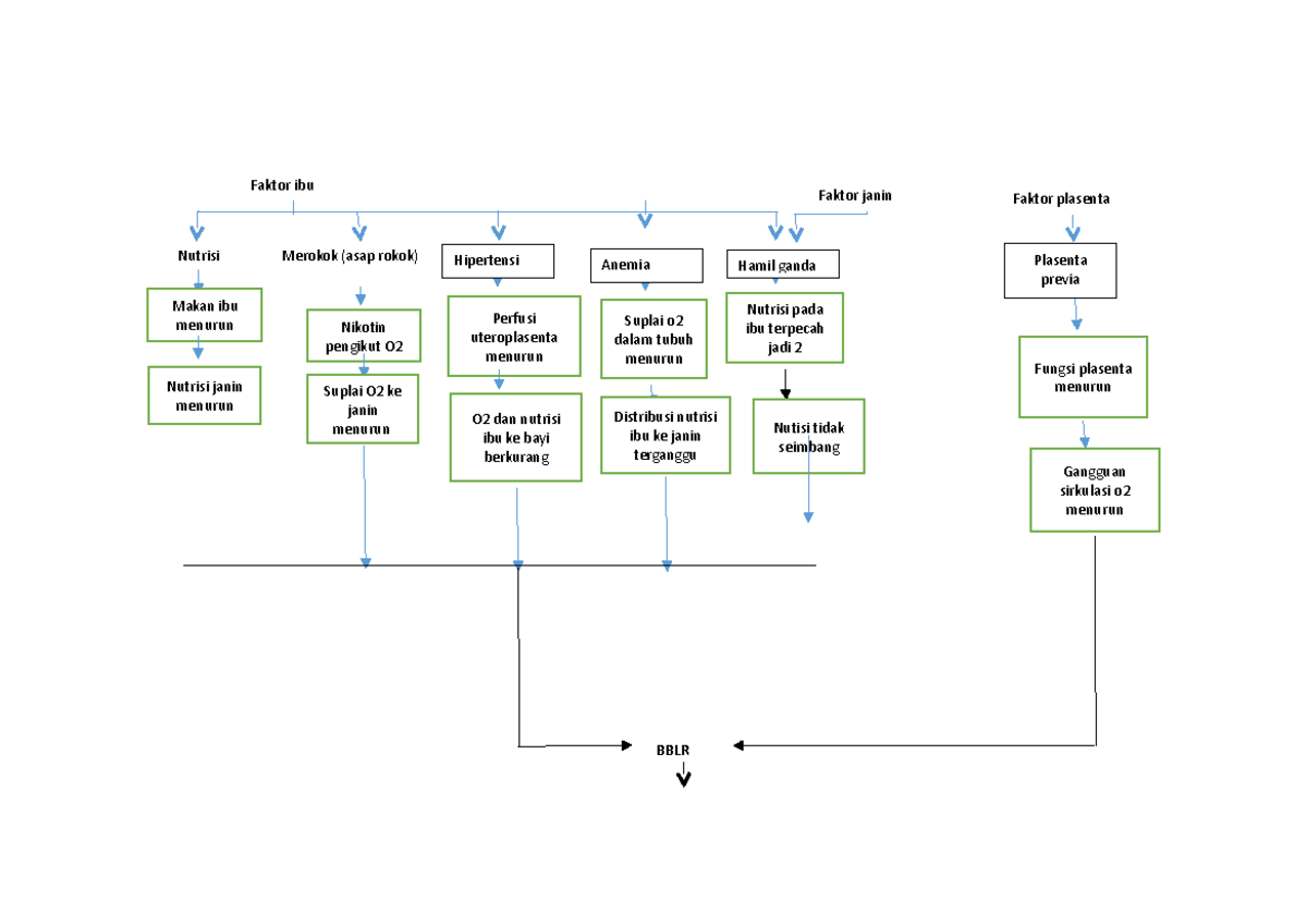 BBLR Factors: Maternal, Fetal, and Placental Influences - Studocu