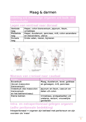 [Solved] welke organen liggen intraperitoneaal en wat is de betekenis ...