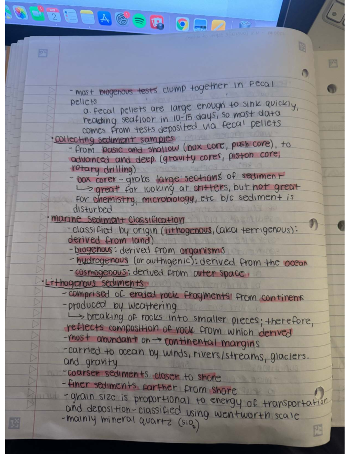 Biogenous Sediment Analysis: Insights on Fecal Pellets and ...