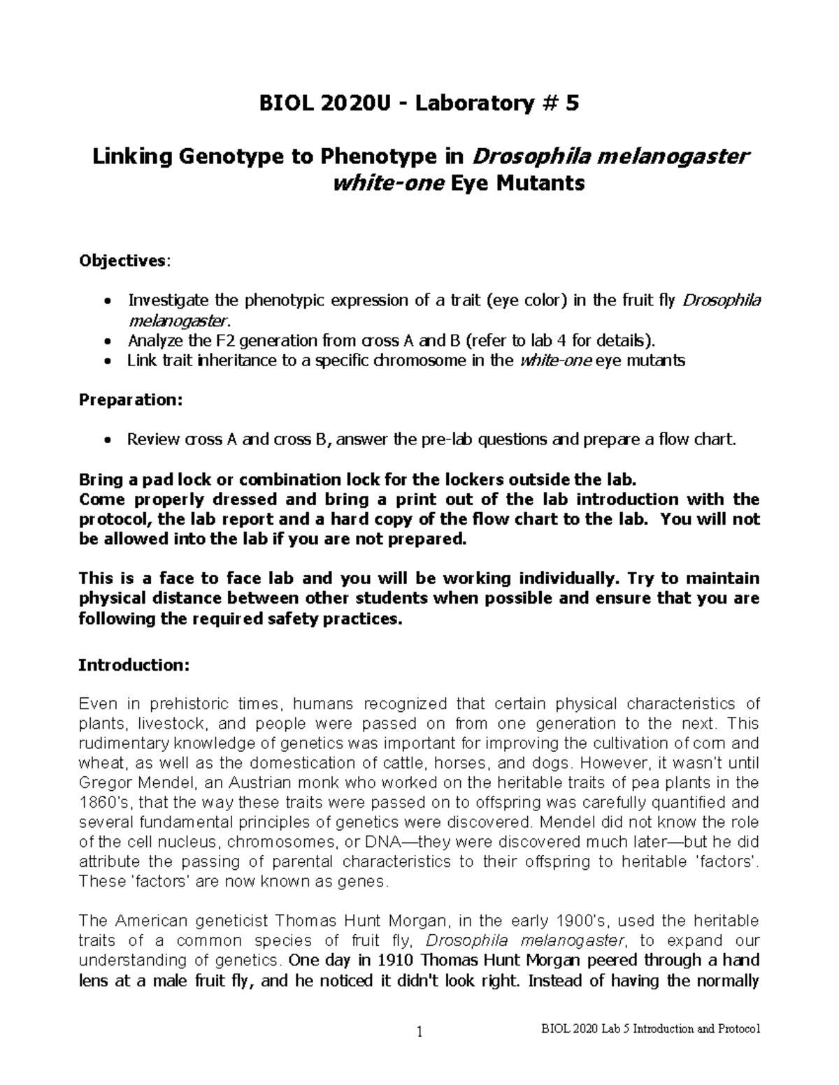lab five intro and protocol - BIOL 2020U - Laboratory # 5 Linking ...