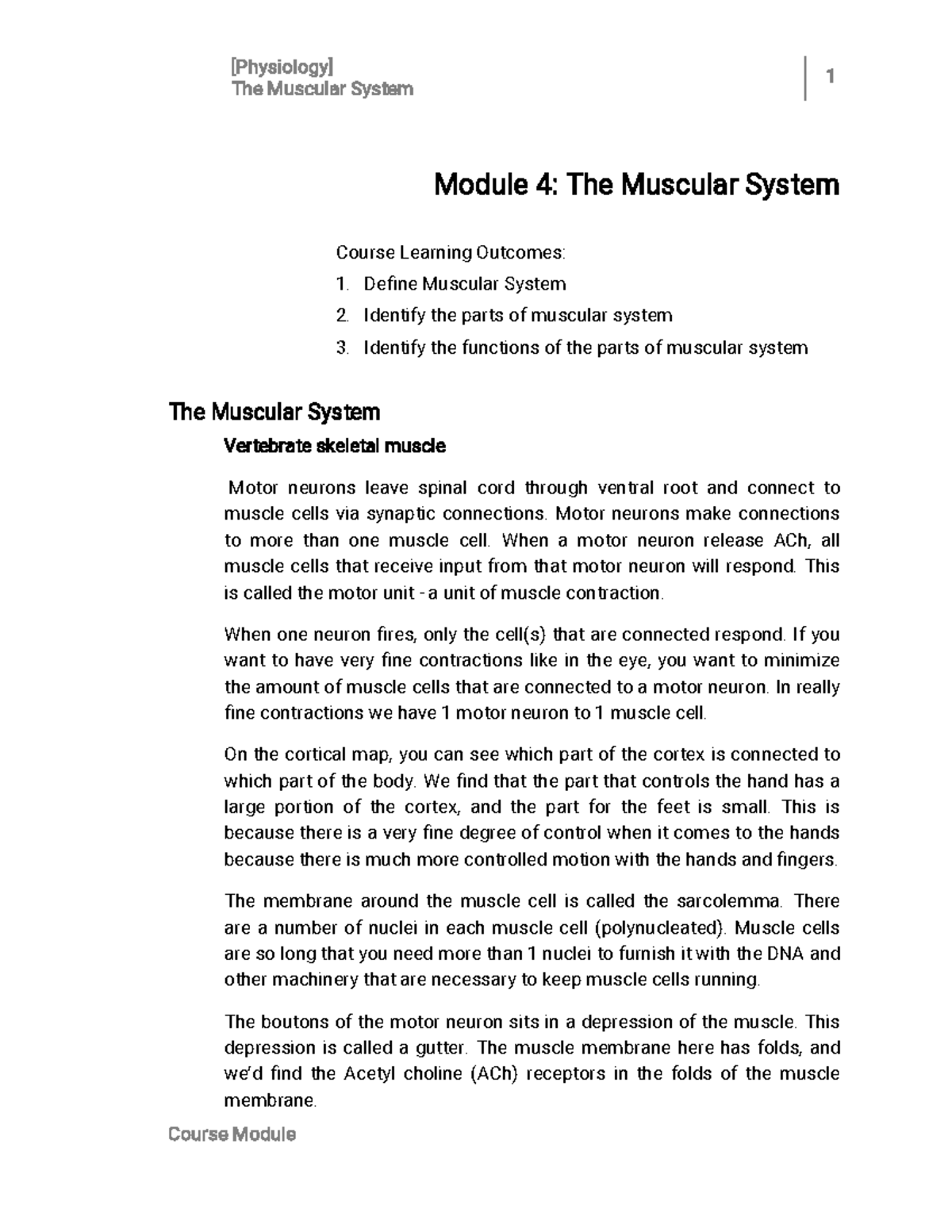 Lesson 4: Understanding the Muscular System in Detail - Studocu