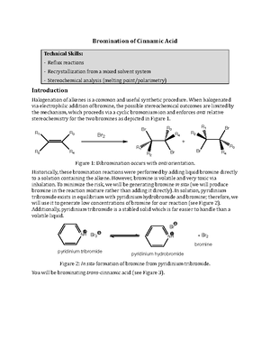 E1 SN1 Synthesis - using a bulky base creates the SN1 intermediate and ...