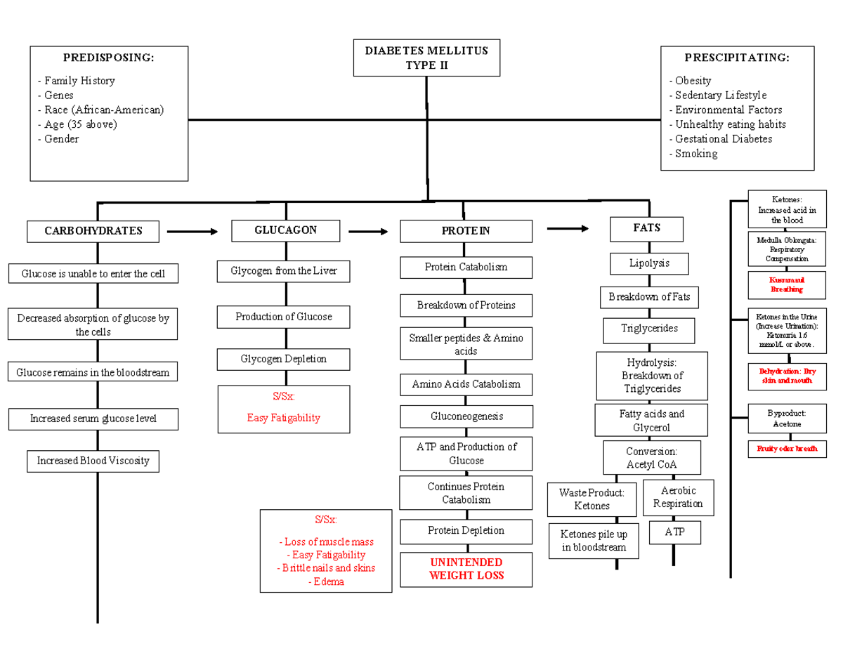 DM- Pathophysiology: Type II Diabetes and Related Complications - Studocu