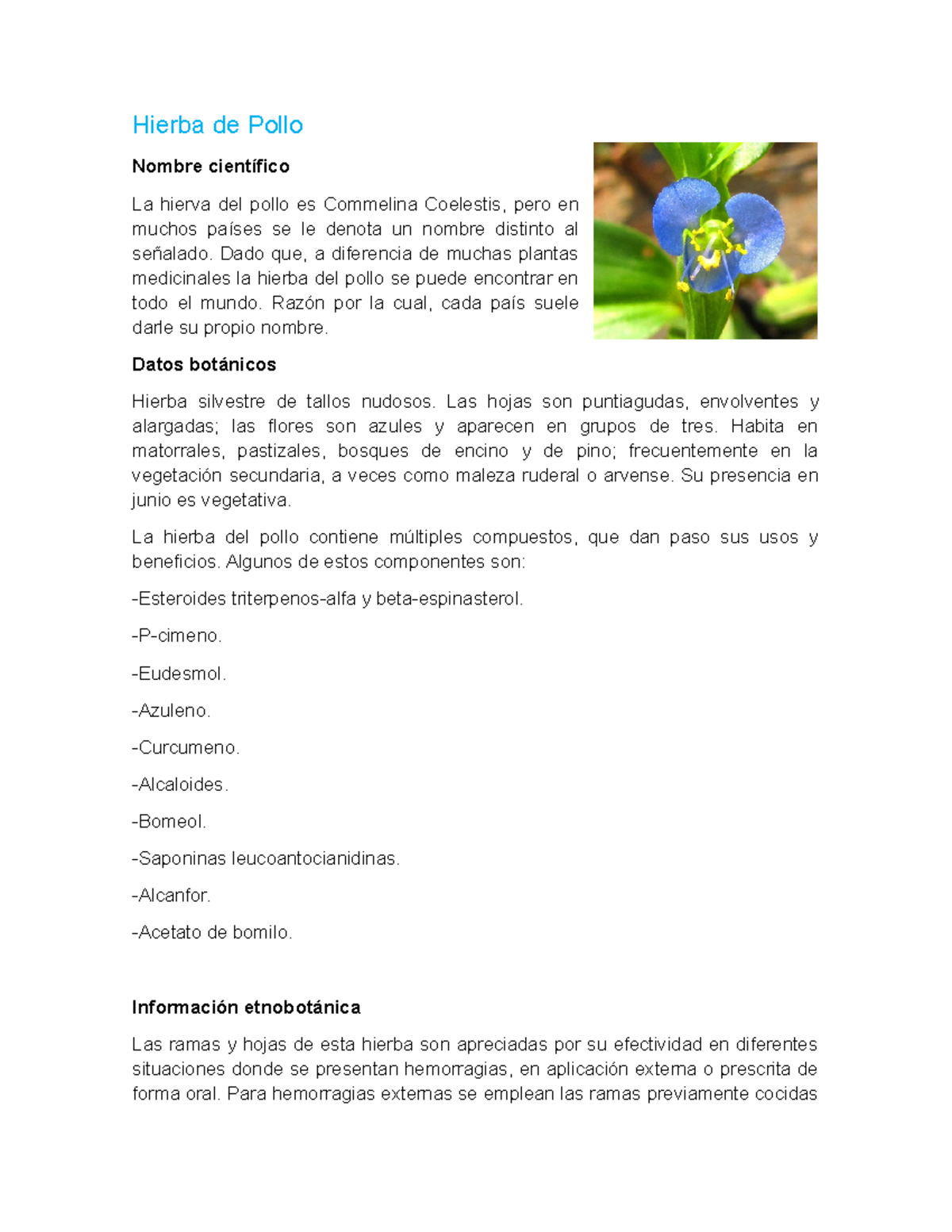 Hierba de Pollo: Usos, Beneficios y Datos Etnobotánicos - Studocu