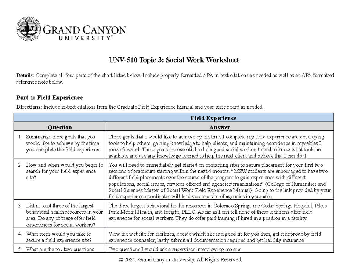UNV 510 T3 Social Work Field Experience and Professional Plan Worksheet ...
