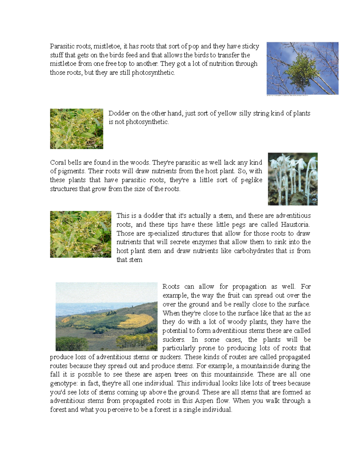 Botany Notes 2: Structure and Functions of Parasitic Roots and Stems ...