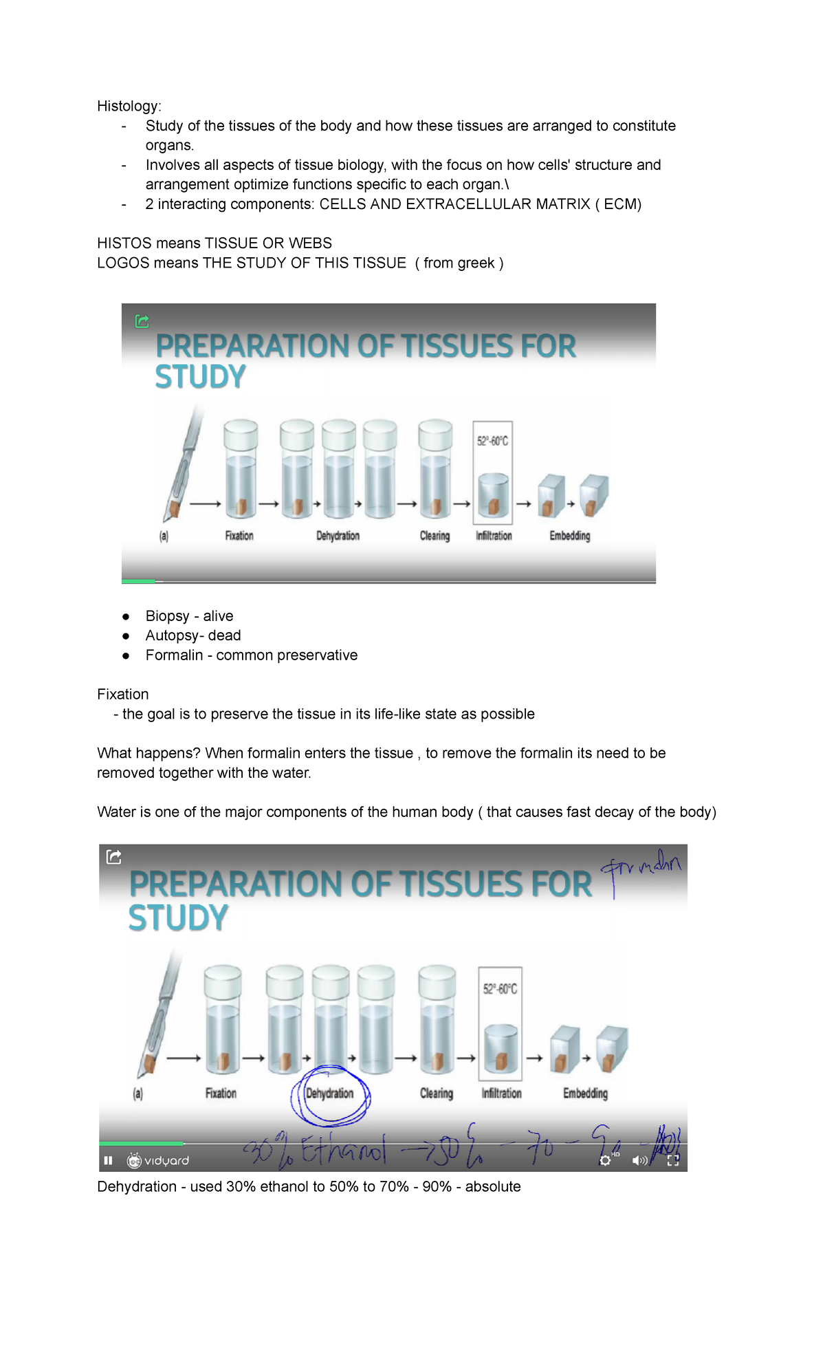 Histology Introduction and methods - Histology: - Study of the tissues ...