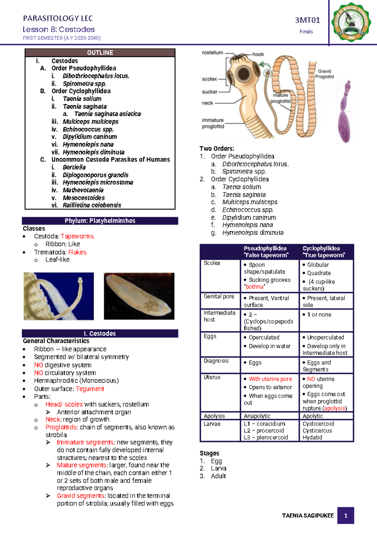 PAR 100 Lesson 8: Cestodes Overview and Key Concepts - Studocu