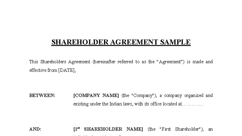 SHAREHOLDER AGREEMENT SAMPLE - Legal Framework Overview - Studocu
