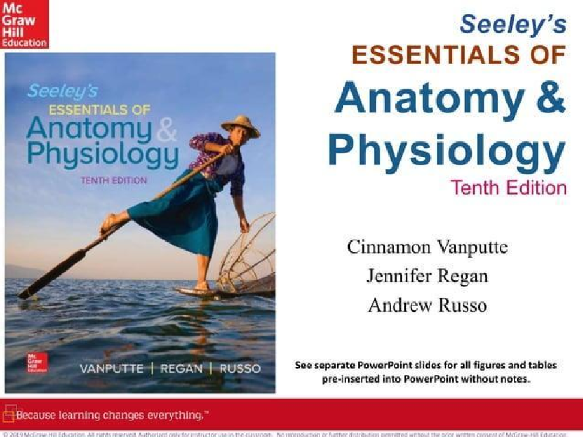 Lymphatic System - Lecture Notes (ANATOMY 101) - Studocu