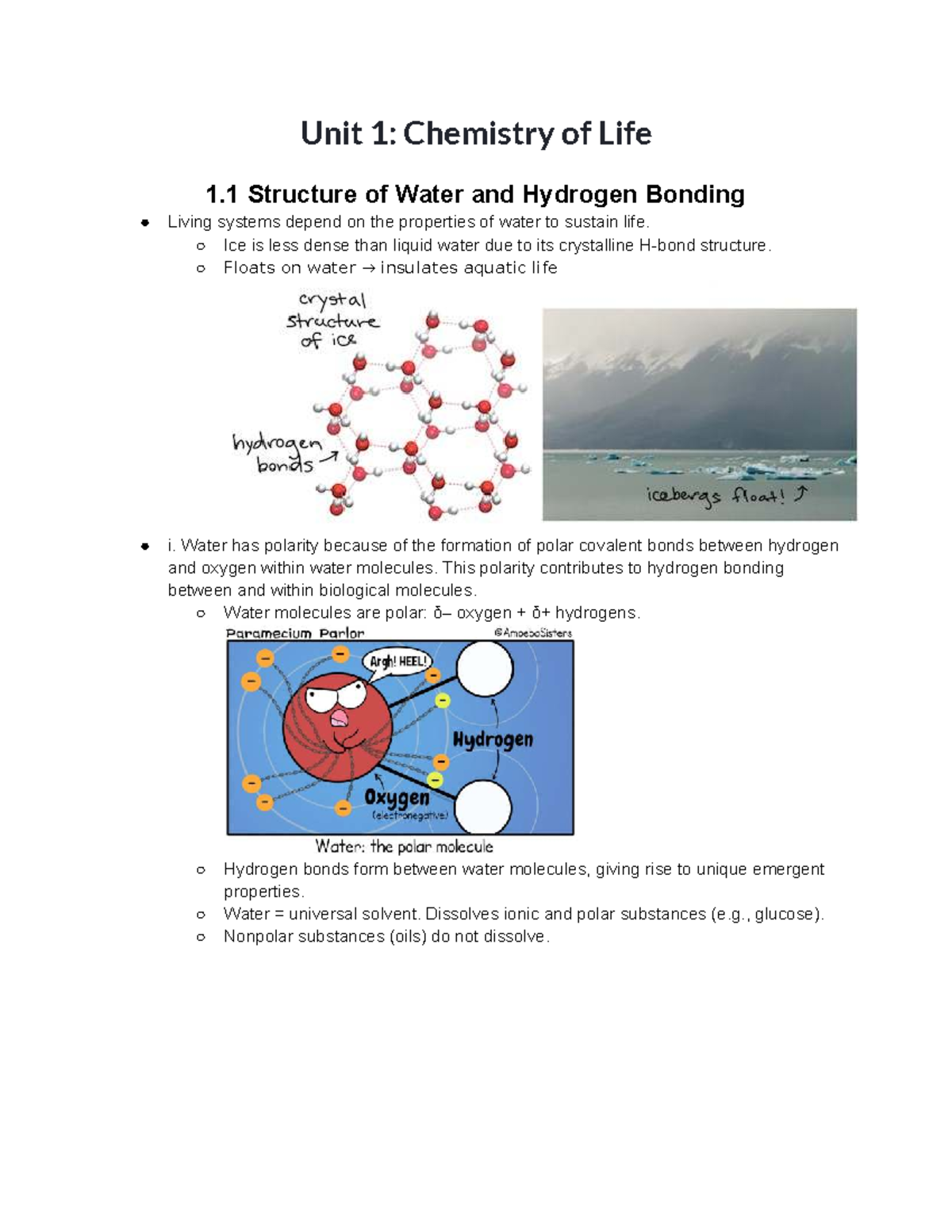 APBIO - Unit 1: Chemistry of Life - Water, Macromolecules & Proteins ...