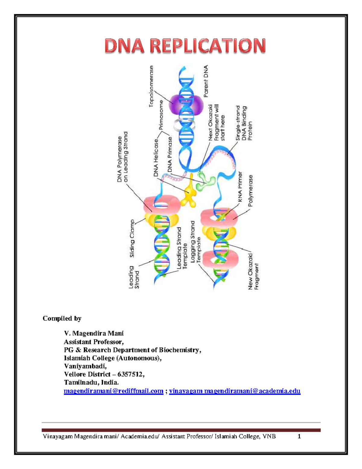 DNA Replication Enzymes and Proteins: A Comprehensive Overview - Studocu