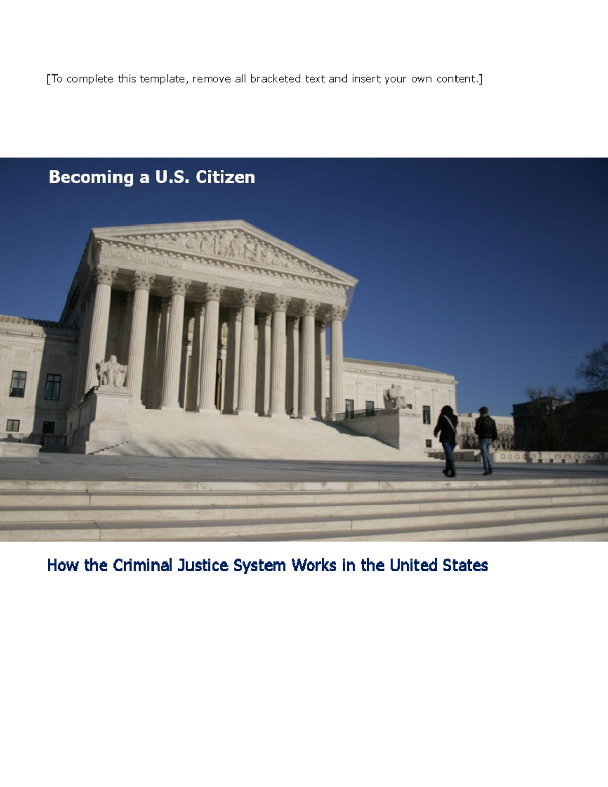 CJ 112 Module 7-2 Project Final: Overview of the Criminal Justice ...
