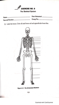 Human Anatomy and Physiology with Pathophysiology - HAPP 111 - OLFU ...