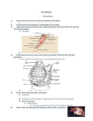 Developing an Explanation for Mouse Fur Color - Student Document ...