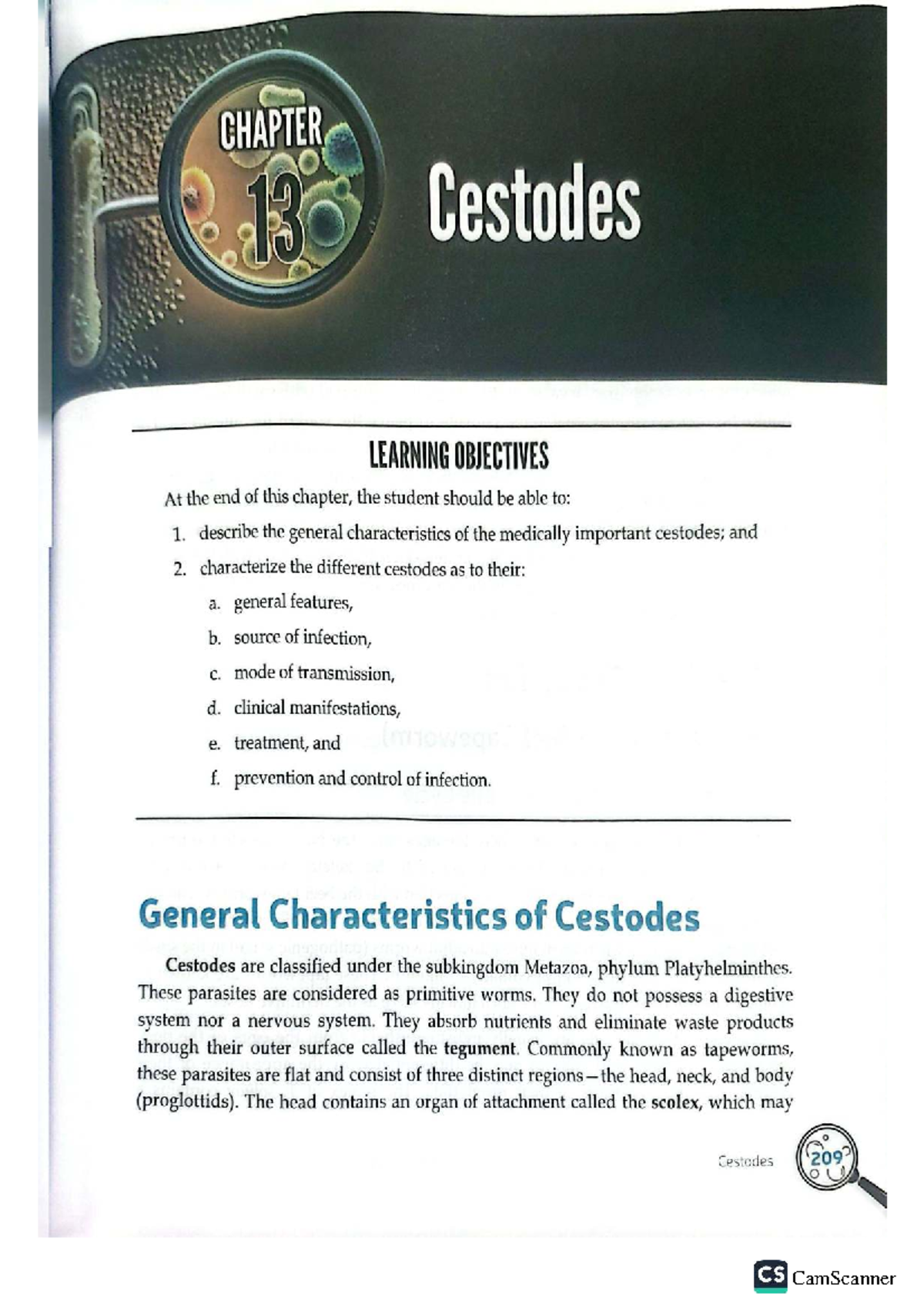 CHAPTER Cestodes: Key Characteristics and Life Cycle Overview CS - Studocu