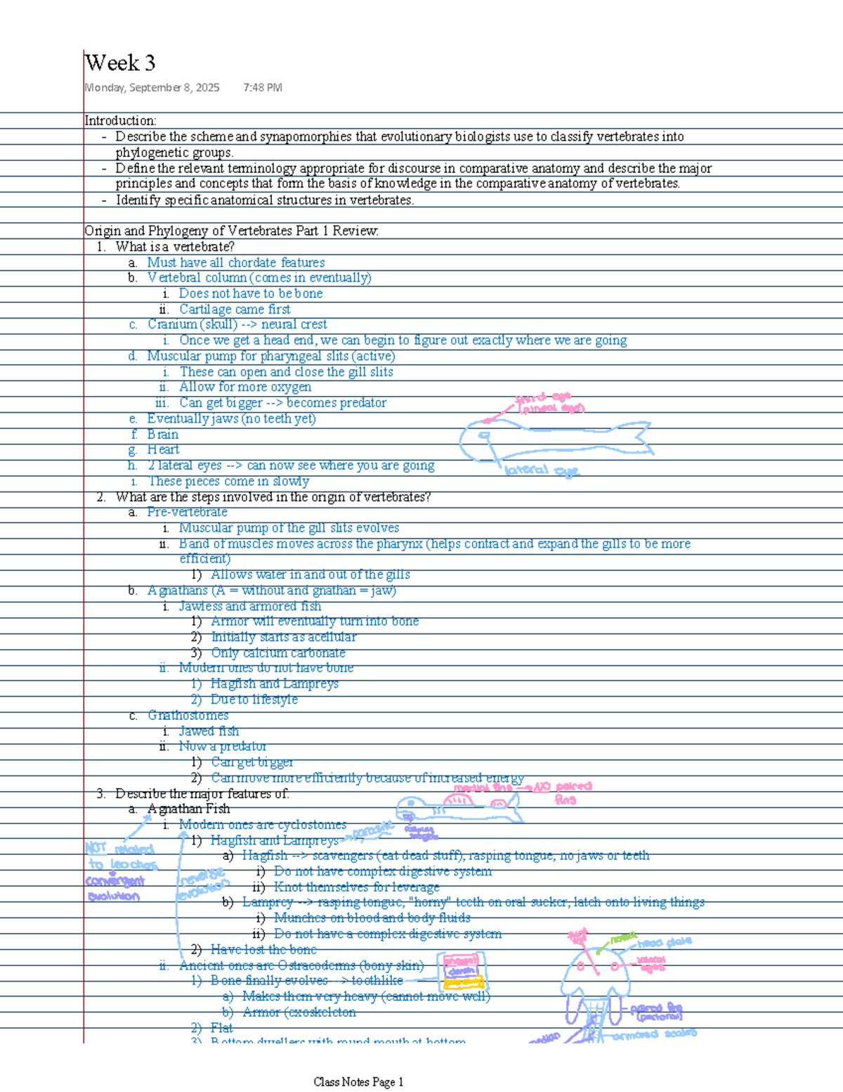 Comparative Anatomy of Vertebrates: Class Notes Overview (BIO 101 ...