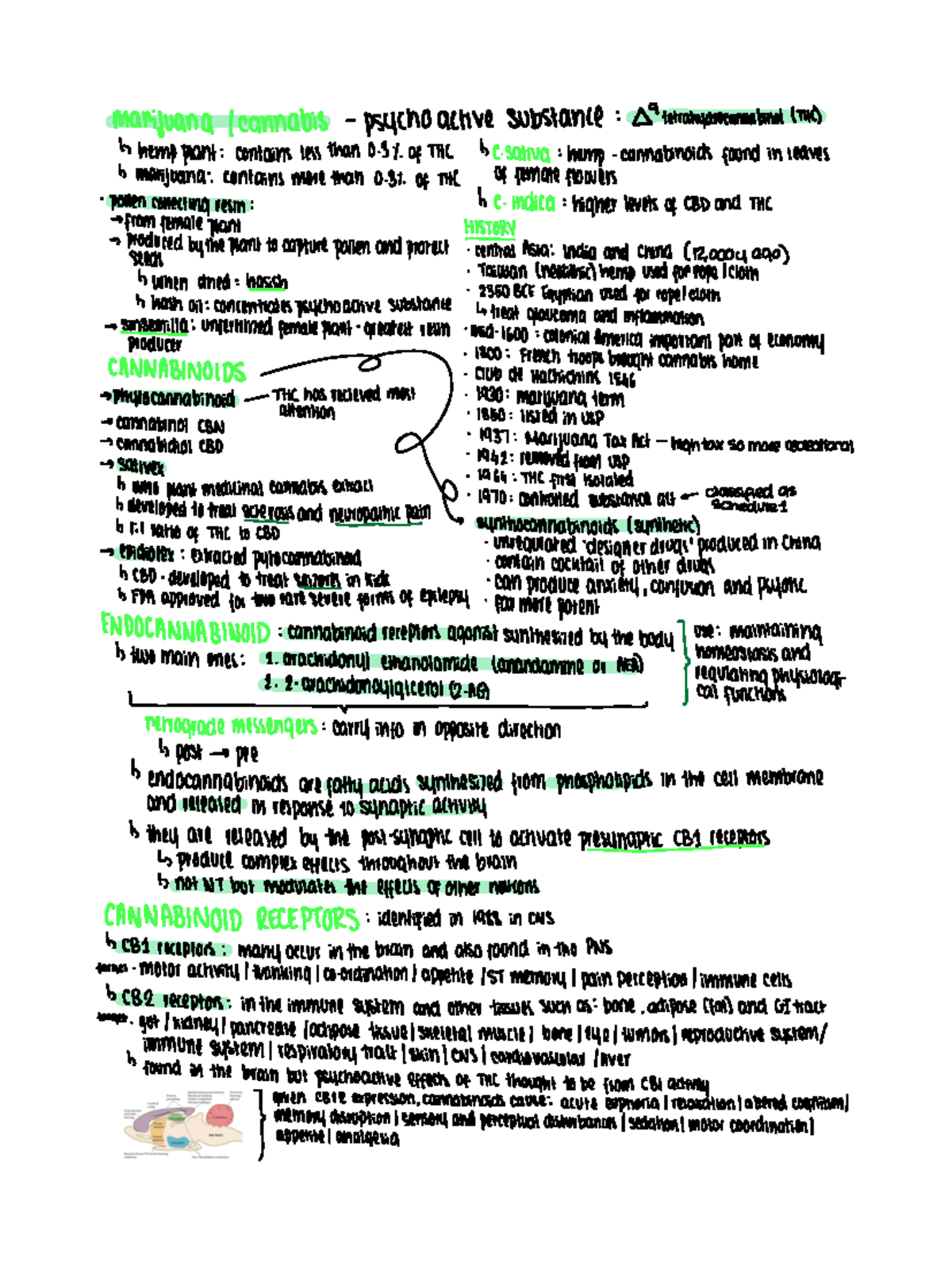 Exam 3 notes - Marijuana cannabis psychoactive substance Δ ...