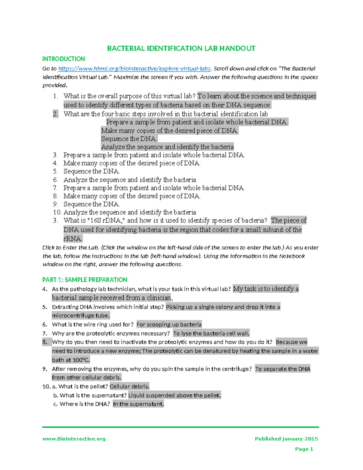 Bacterial Identification Lab Worksheet: Techniques and Procedures - Studocu