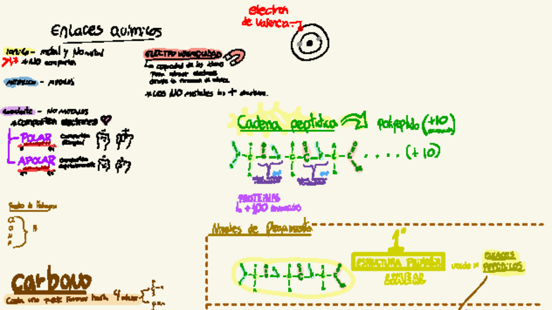 bases biologicas - proteinas, enlaces quimicos - electrose ...