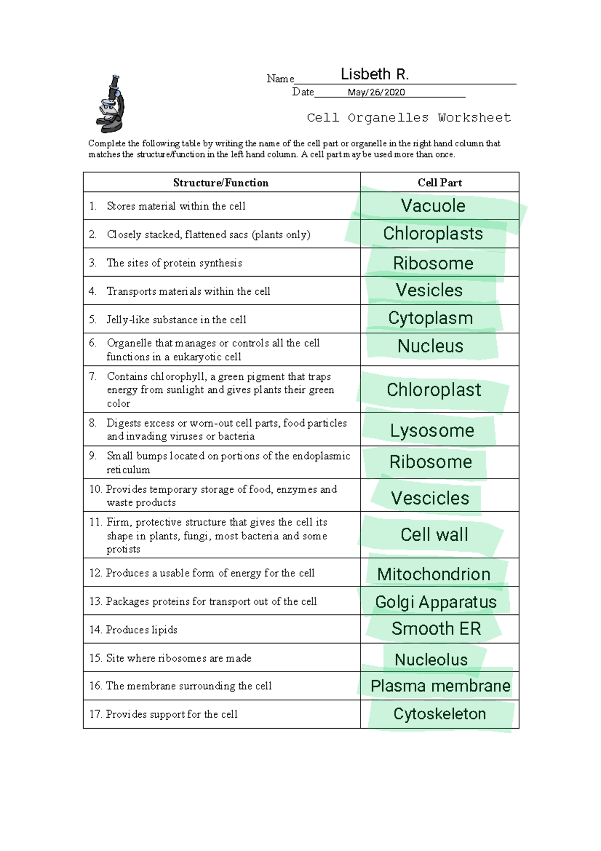 Cell Organelles Worksheet (Biology 101) - Complete Activities and ...