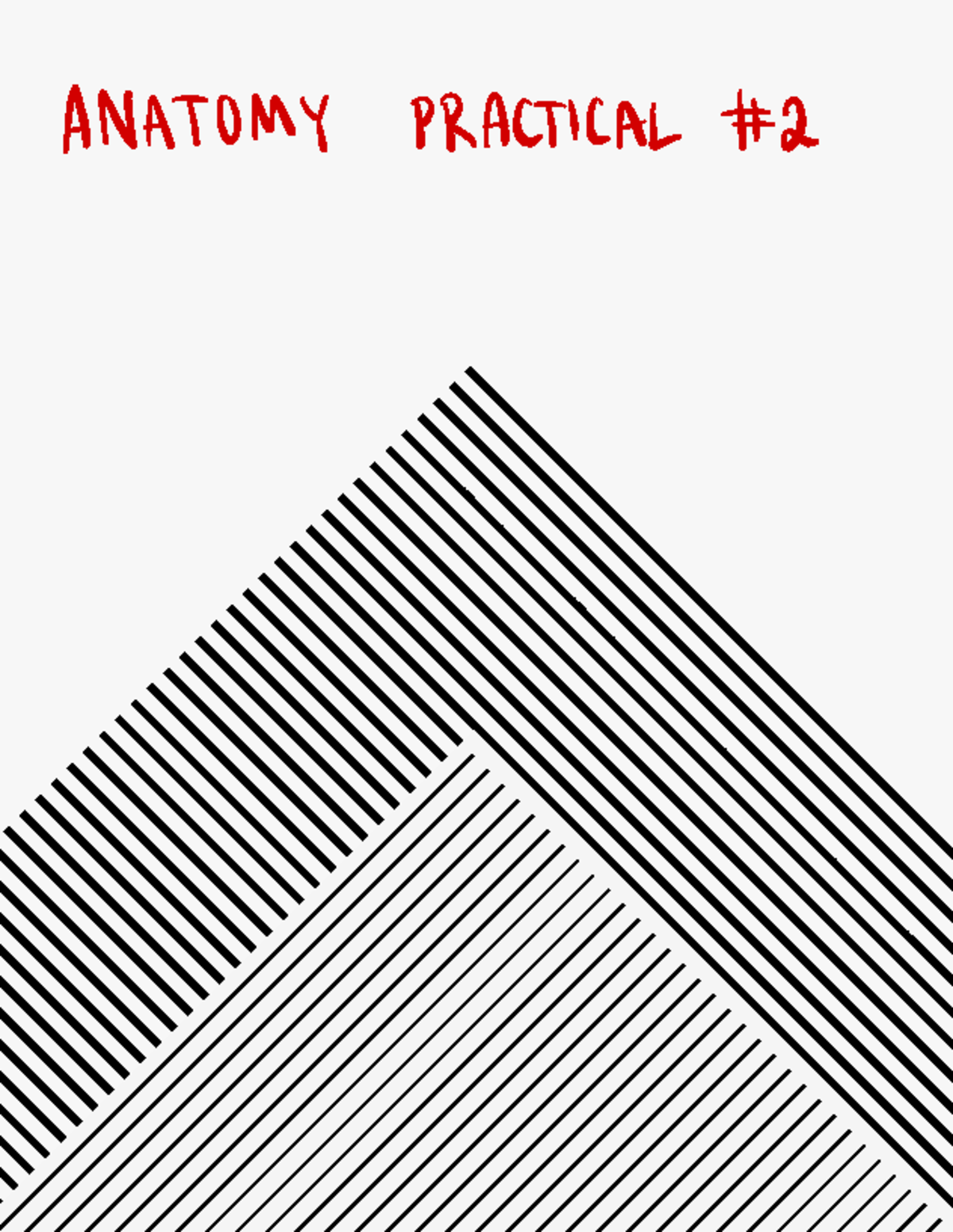 ANATOMY PRACTICAL II: Brain Structures & Muscles - A&P I - Studocu