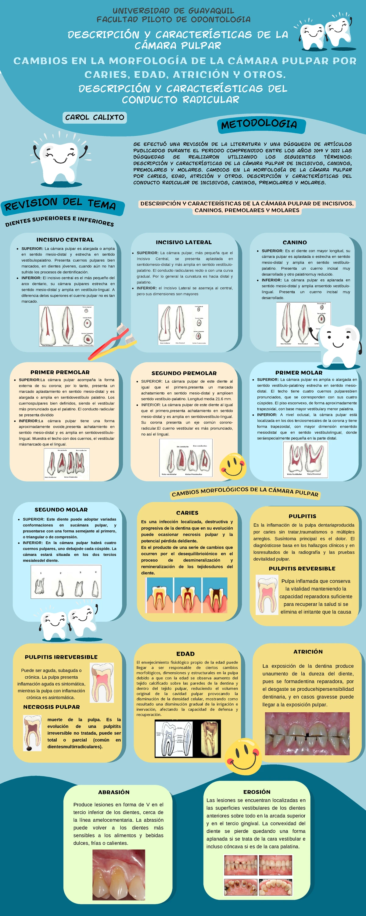 Clasificación de Conductos Radiculares de Vertucci - Endodoncia I CII ...