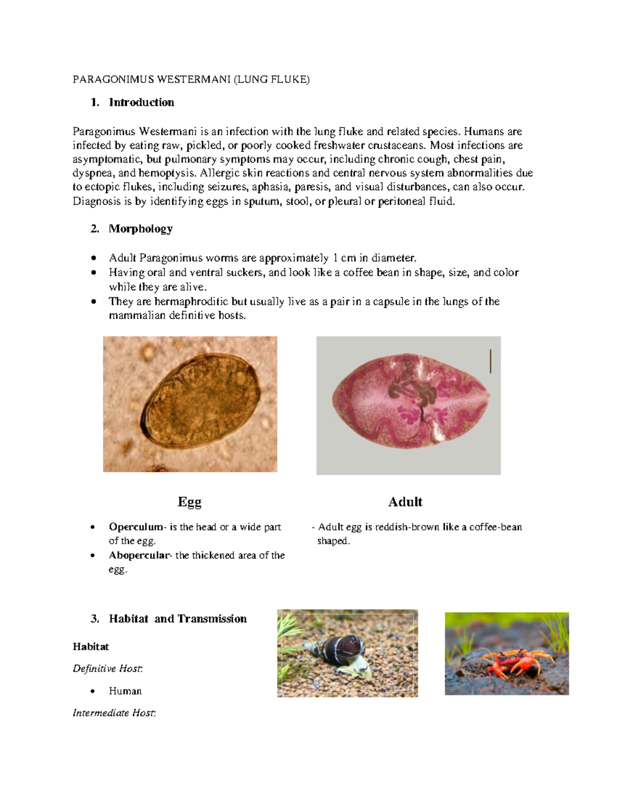Paragonimus- Westermani - PARAGONIMUS WESTERMANI (LUNG FLUKE) 1 ...