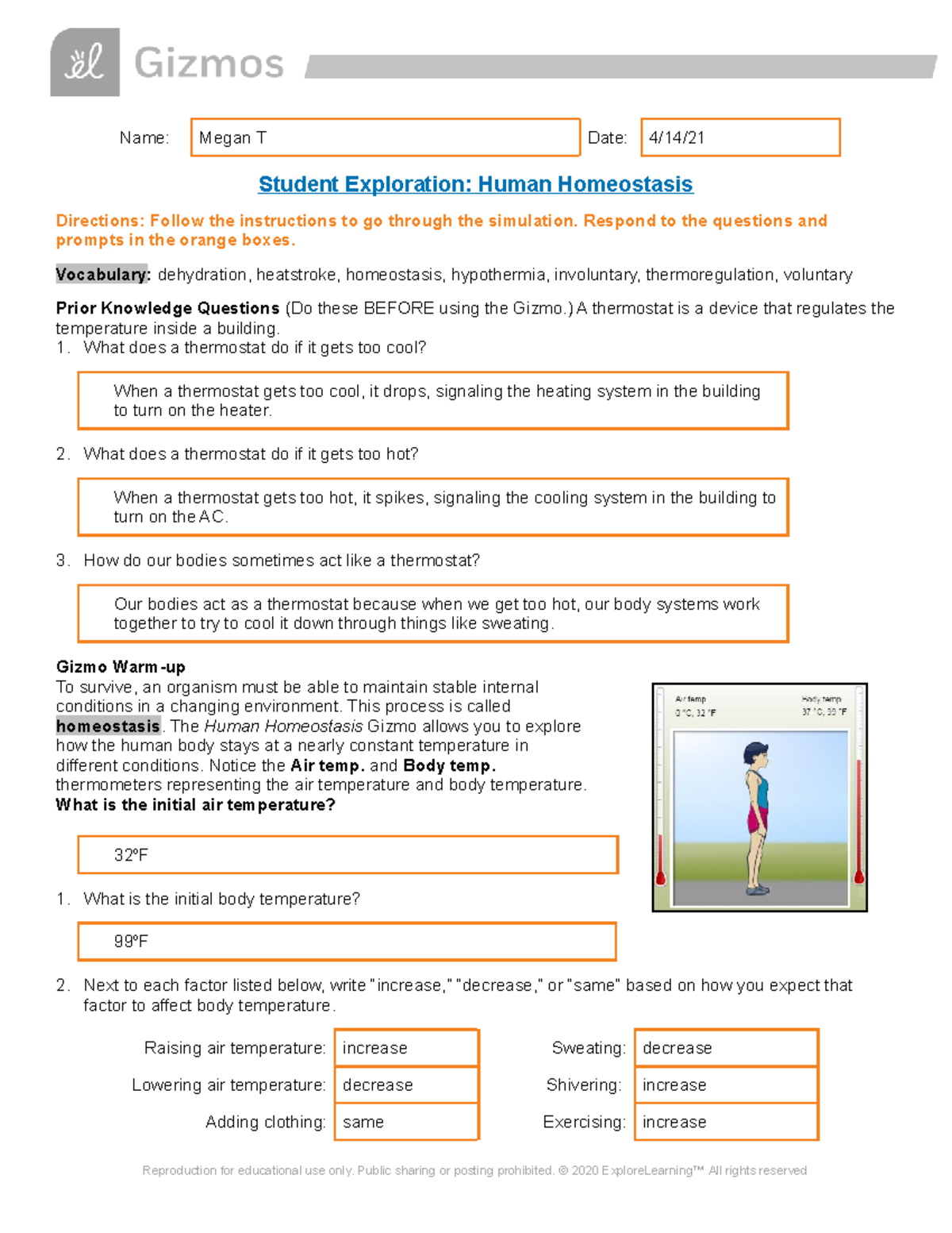 Exploring Human Homeostasis: Understanding Body Temperature Regulation ...