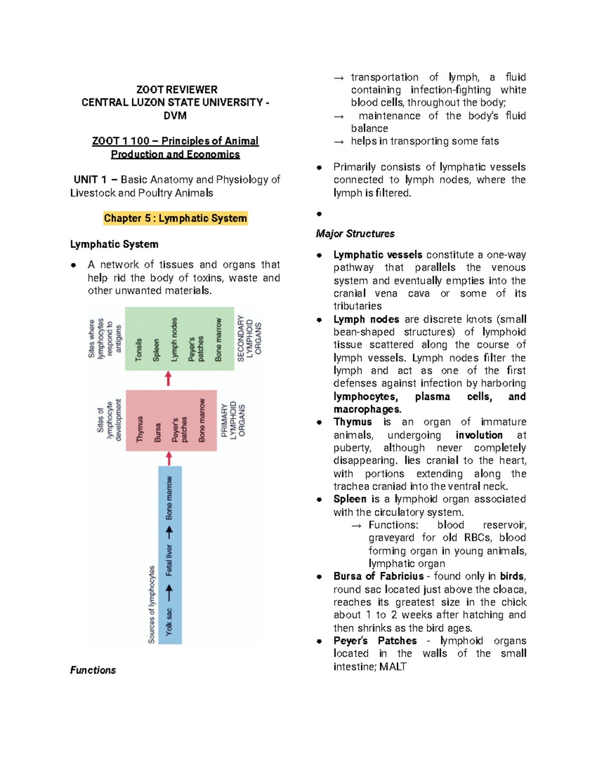 Basic Anatomy & Physiology of Livestock & Poultry (ZOOT 1 100) - Studocu