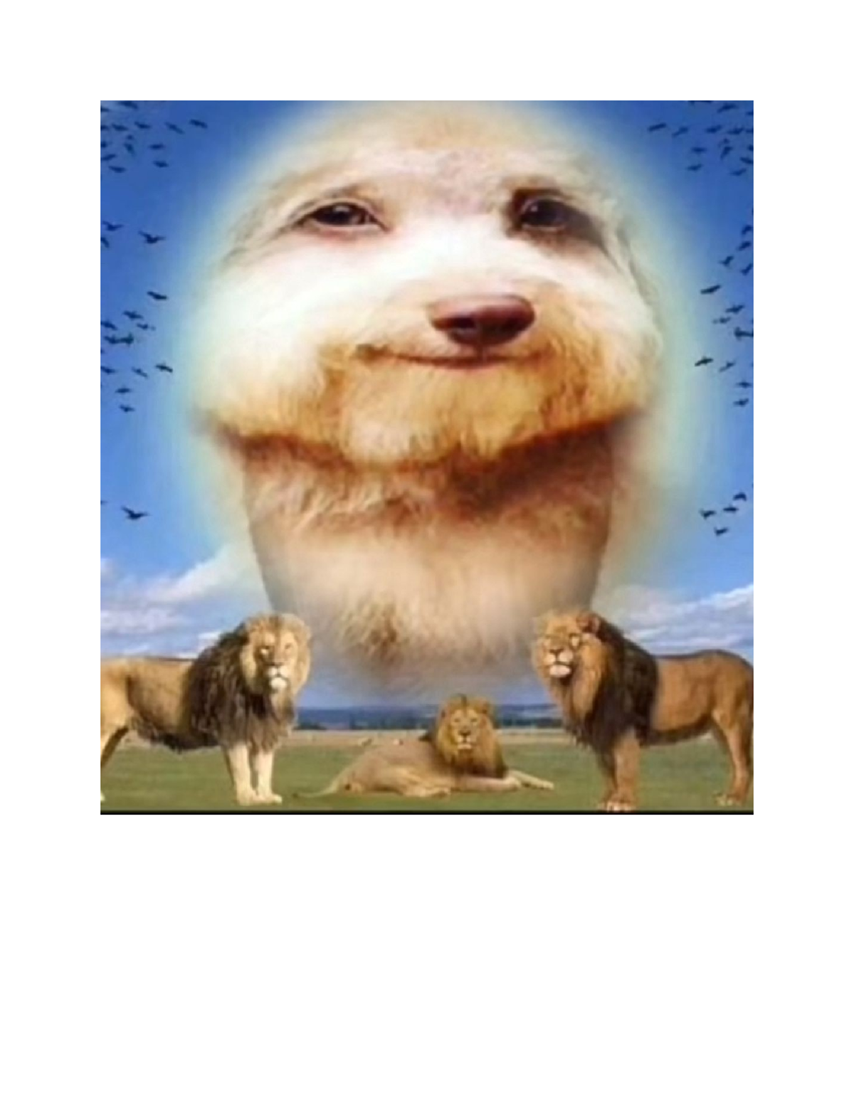 Untitled document - Brainrot - n M - - Studocu