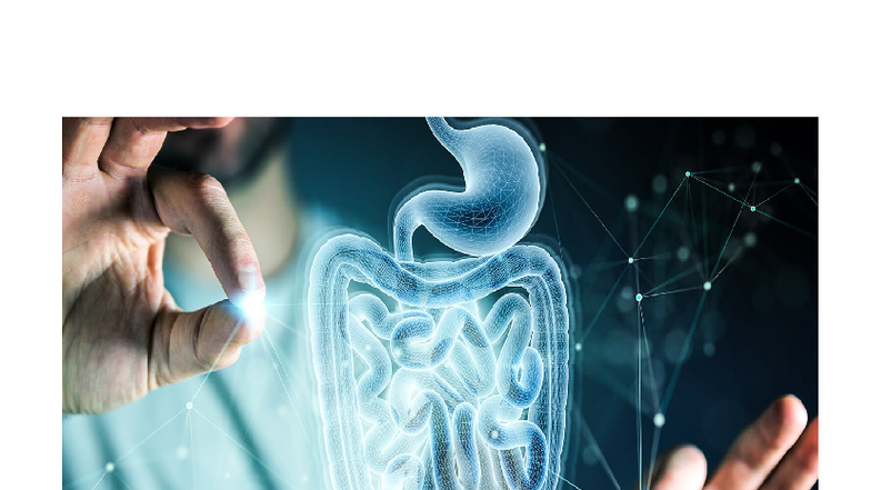 CHCCCS 041 Assessment 2: Case Studies on Healthy Body Systems - Studocu