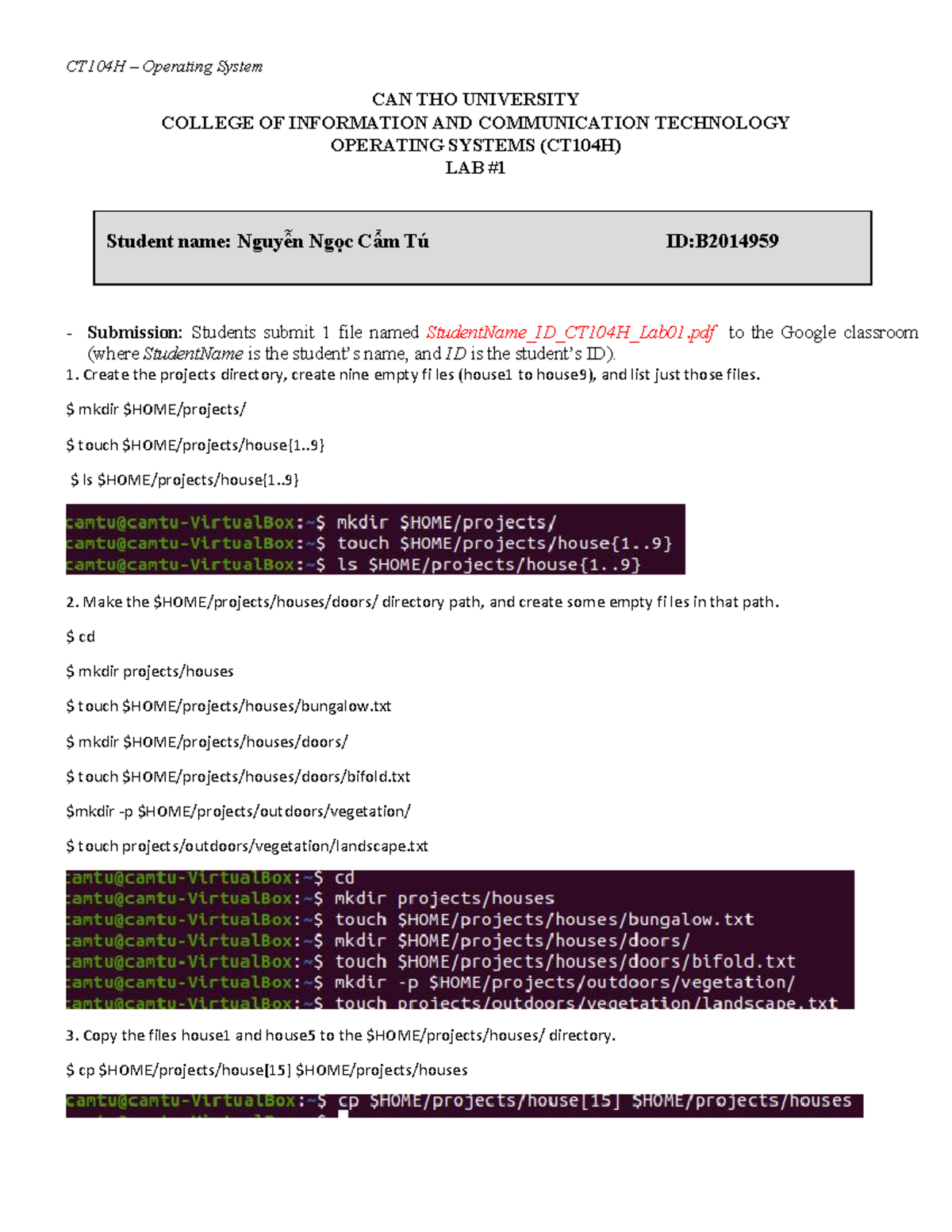 CT104H Lab01 – Operating System Project Directory Management - Studocu