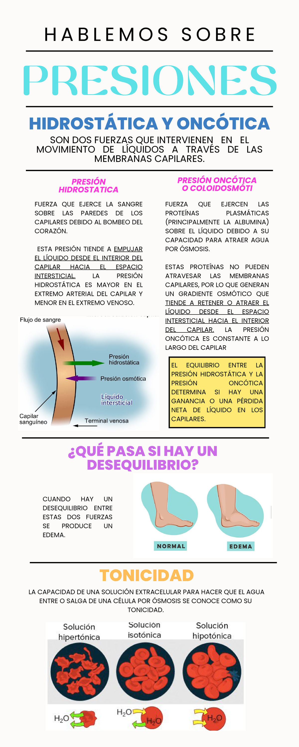 Presiones - PRESIONES EL EQUILIBRIO ENTRE LA PRESIÓN HIDROSTÁTICA Y LA ...