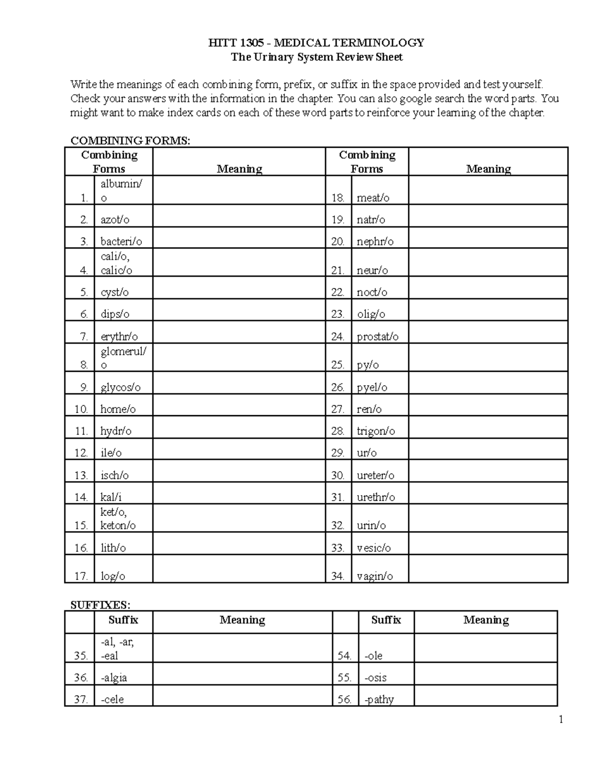 HITT 1305 Urinary System Terms Worksheet - Studocu