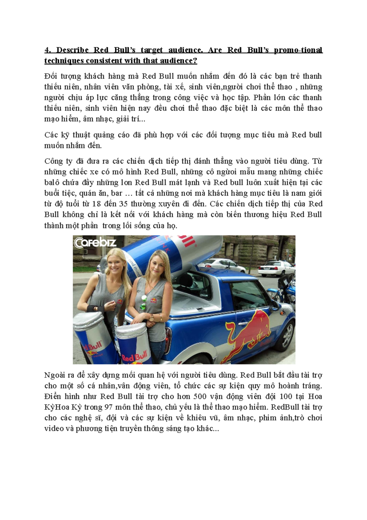 Case Study: Red Bull's Target Audience and Marketing Techniques - Studocu