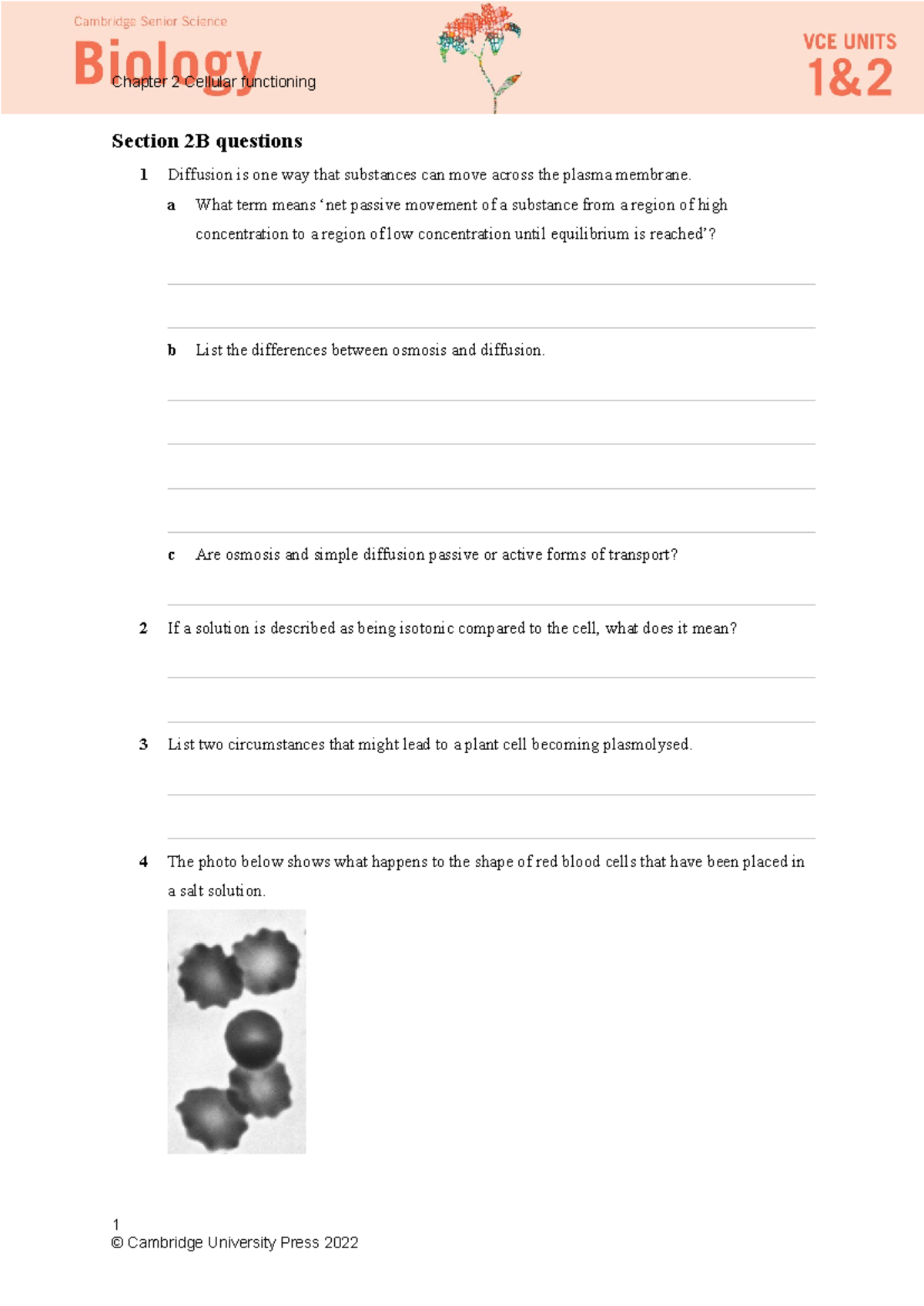 Chapter 2 Cellular Functioning: Section 2B Questions & Answers - Studocu