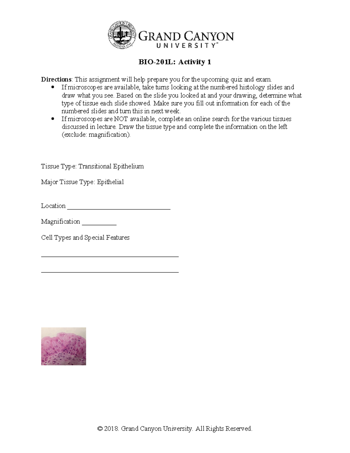 Activity 1 - This is the different types of cells and cell types ...