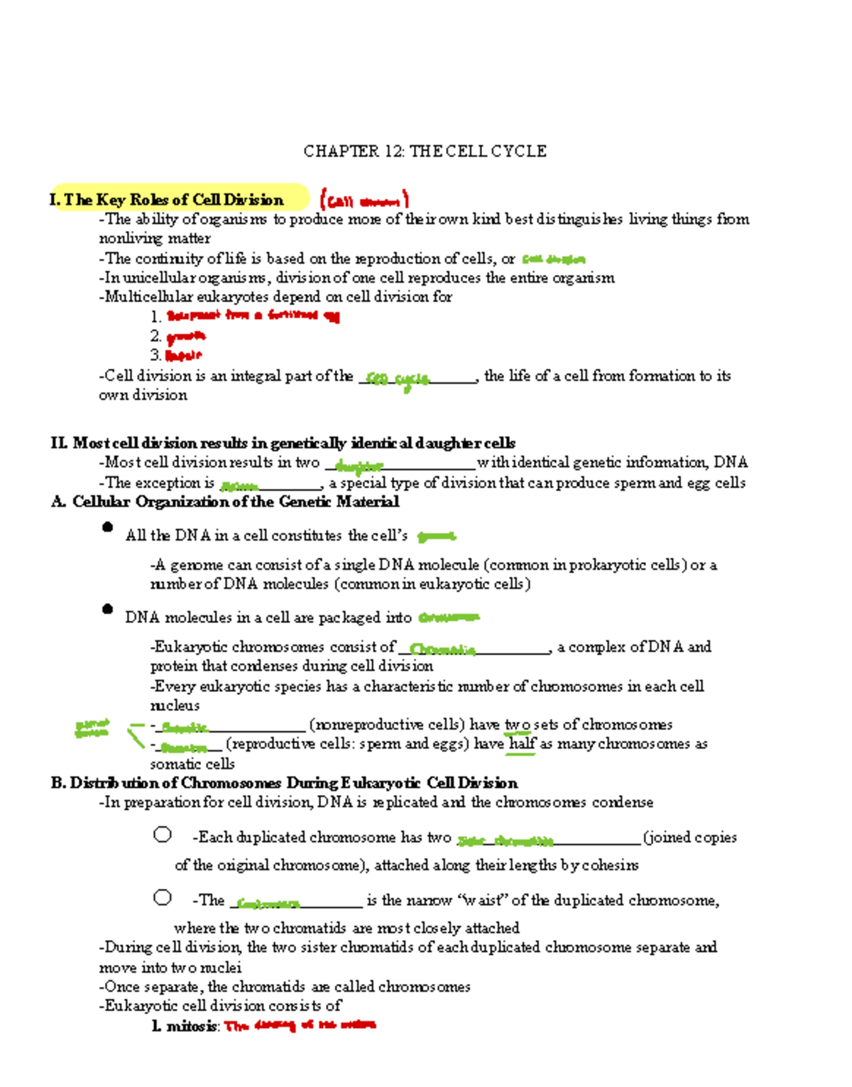 Cell Cycle Control and Cancer: Chapter 12 Overview (BIO101) - CHAPTER ...