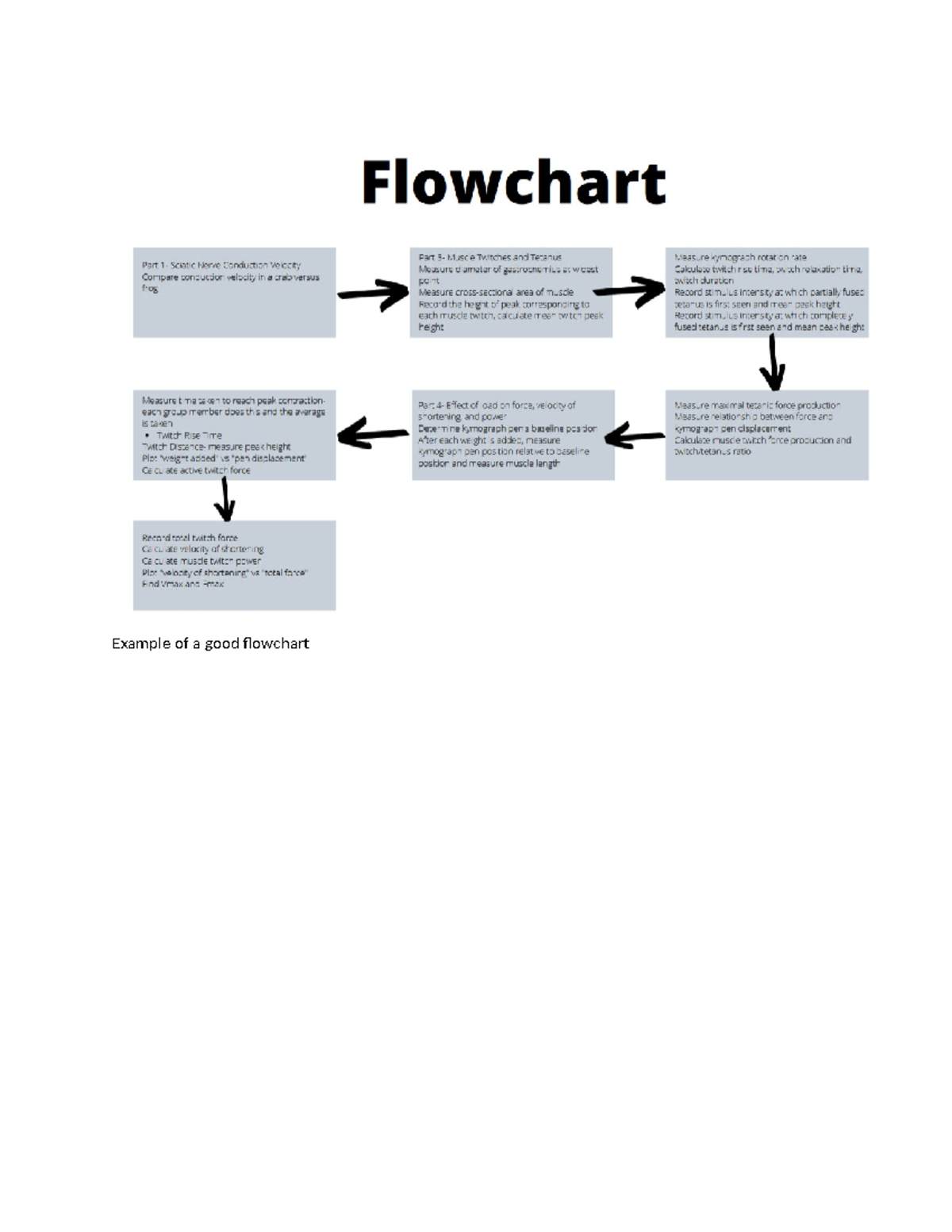 Flowchart: Muscle Twitches, Tetanus & Sciatic Nerve Conduction Analysis ...