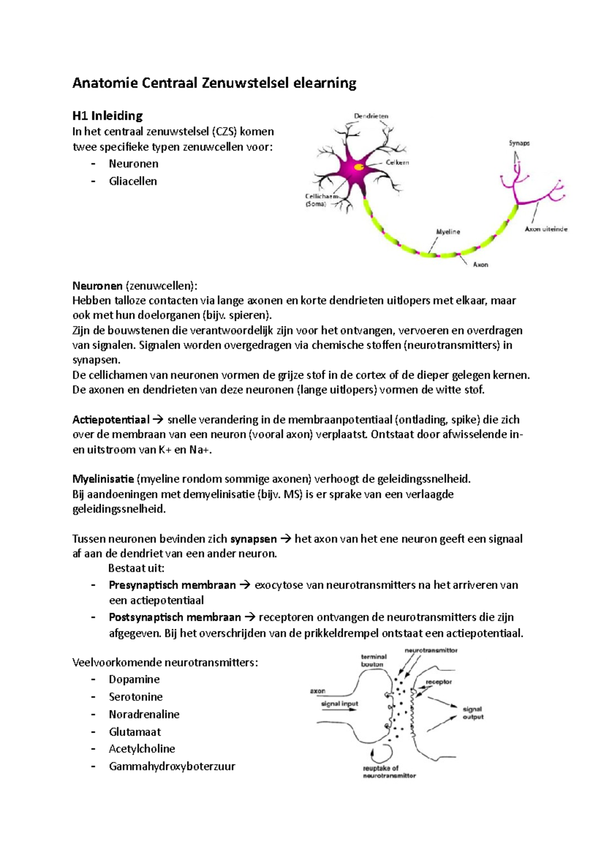 Anatomie CZS eLearning: Overzicht van Neuronen en Gliacellen - Studeersnel