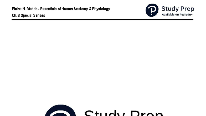 Ch. 8 Special Senses: Overview of Human Anatomy & Physiology - Studocu