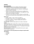C182 - Introduction to IT - Studocu