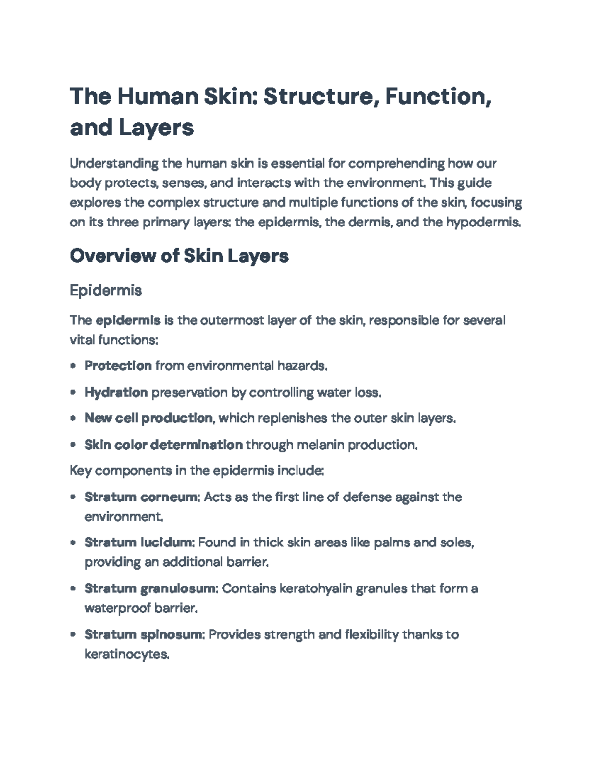 Human Skin Structure, Function, and Layers Overview: Key Insights - The ...